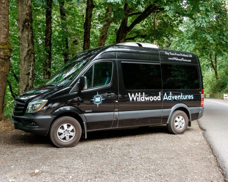 Experience the Ultimate Guided Waterfall Adventure From Portland