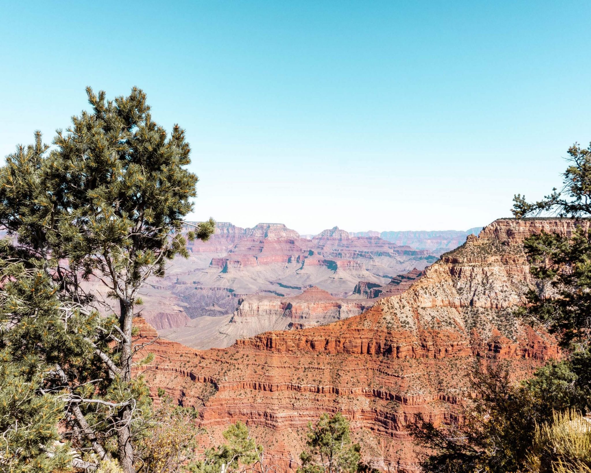 A Full Day Trip From Flagstaff to Grand Canyon