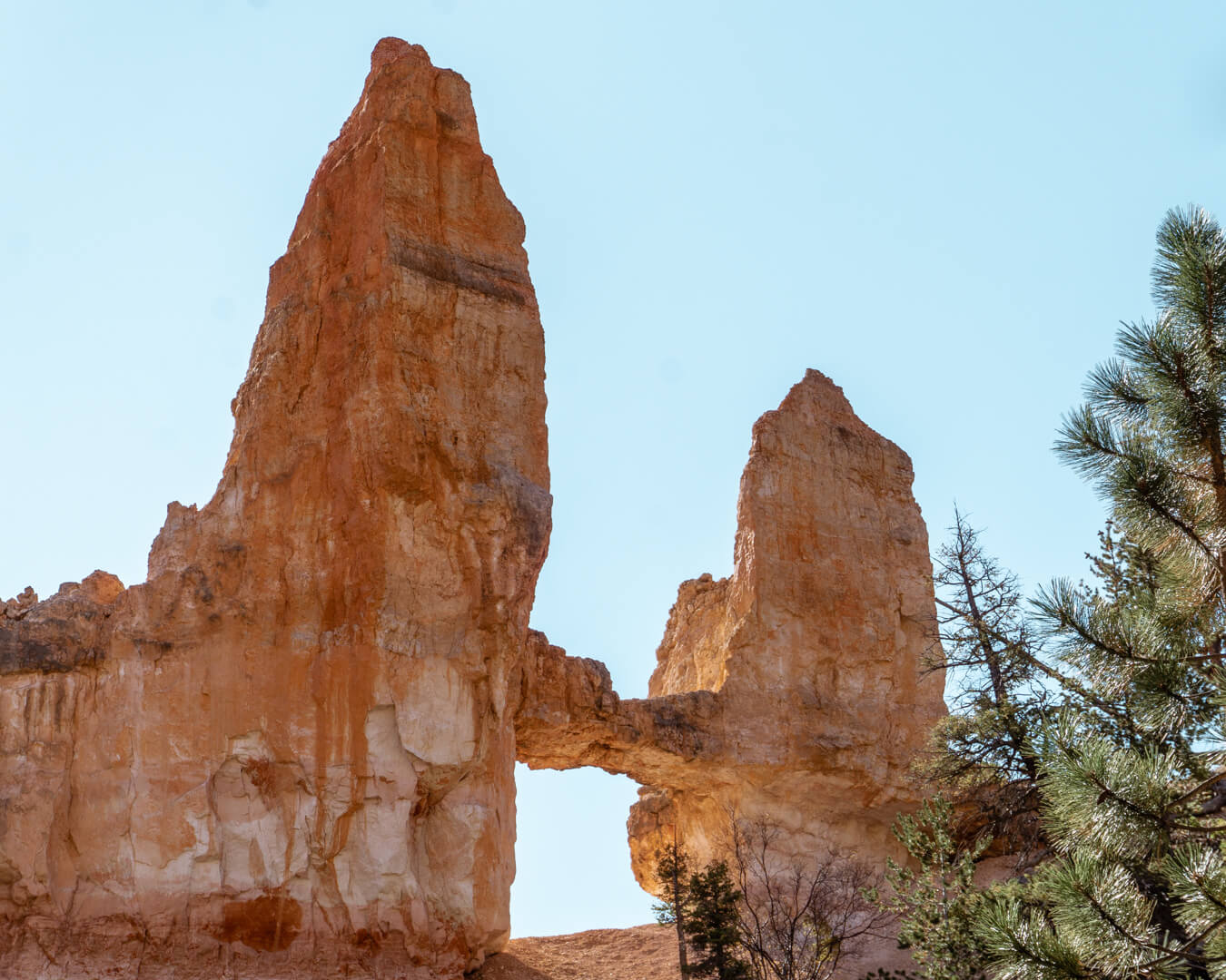 How to Hike the Fairyland Loop Trail in Bryce Canyon